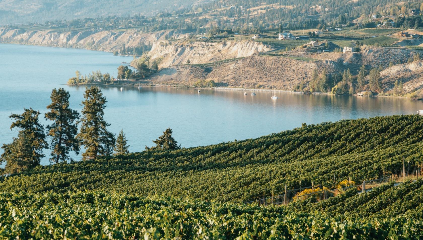 Contact Us - Adam Smith